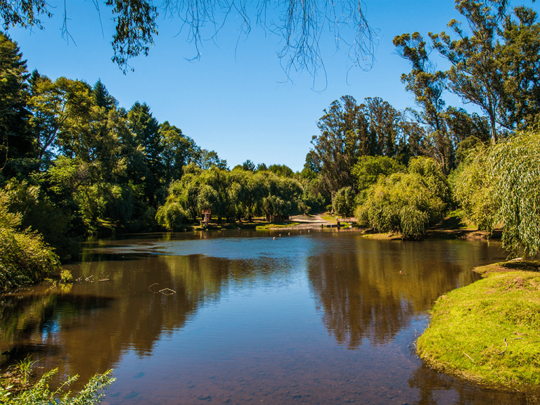 Piscina natural - Municipalidad de Gorbea - #TierraGenerosa
